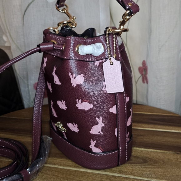 Coach | Bags | Coach Mini Dempsey Bucket Bag In Rabbit Bunny Print ...